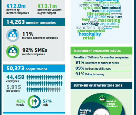 Sharp increase in numbers of Irish companies availing of training to ...