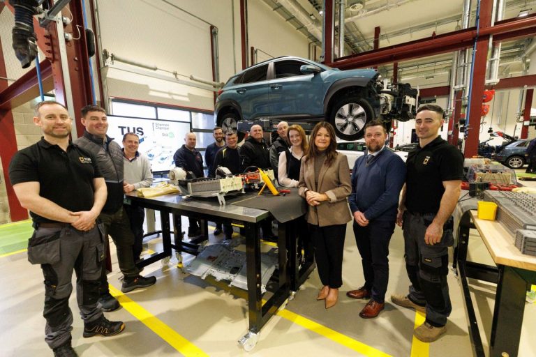 Motor mechanics from throughout Ireland partake in electric vehicle (EV ...